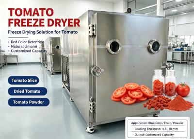 China Fusheng Refrigeration System Food Vacuum Freeze Dryer Ensuring Optimal Moisture Removal and Extended Shelf Life for Food for sale