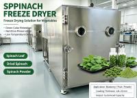 China Electric Heating Silicon Transfer Heat Food Vacuum Freeze Dryer Equipped Prefreezing Function Designed For Food Drying for sale