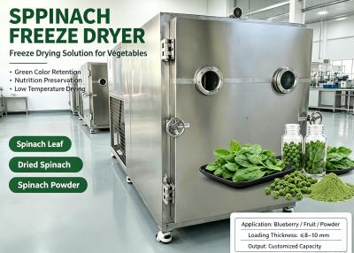 China Electric Heating Silicon Transfer Heat Food Vacuum Freeze Dryer Equipped Prefreezing Function Designed For Food Drying for sale