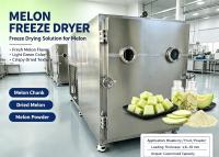 China Vacuum Degree ≤13Pa Food Vacuum Freeze Dryer Supports Batch Processing of Food Items Ensuring Consistent and Efficiency for sale