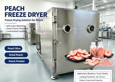 China Food vacuum freeze dryer 17 trays or custom designed for and consistent food freeze drying performance for sale