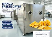China Customized Food Vacuum Freeze Dryer Equip With Prefreezing Function Ideal Solution For Food Preservation And Long Term Storage for sale
