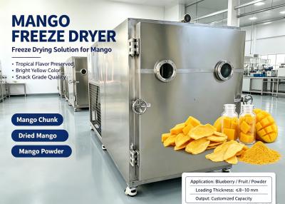 China Customized Food Vacuum Freeze Dryer Equip With Prefreezing Function Ideal Solution For Food Preservation And Long Term Storage for sale