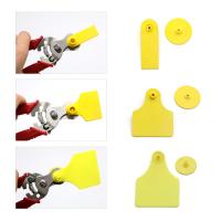 China Durable Animal Ear Tag Applicator Pliers for Livestock Management 1 Pcs for sale