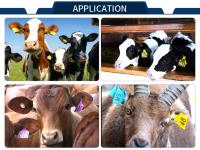 China Custom TPU RFID Ear Tag for Cattle Sheep Goat Pig with Laser Printing 134.2kHz for sale