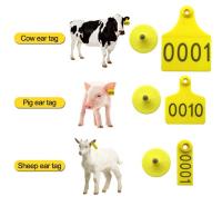 China Customized TPU Sheep Ear Tag 17x51mm for Goat Livestock Identification Laser Marking for sale