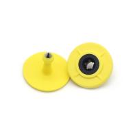 China JCET043l Ear Tag for Sheep with Applicator Plier for Cattle Sheep Horses Livestock Identification for sale