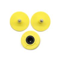 China JCET043l Ear Tag for Sheep with Applicator Plier for Cattle Sheep Horses Livestock Identification for sale