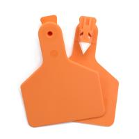 China JCET019 Laboratory Animal Ear Tag Veterinary Ear Tag for Cattle Sheep 2.5cm x 1.2cm for sale