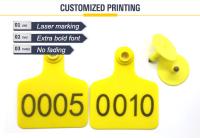 China TPU Animal Ear Tag for Cattle Sheep Goat Livestock Management Laser Printing Custom Logo for sale