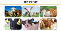 China TPU Cattle Ear Tag with Serial Number for Livestock Management JCET006 for sale