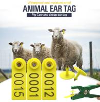 China TPU Livestock Ear Tag JCET003 with Laser Numbering for Cattle Sheep Pig for sale