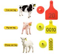 China JCET006 cattle ear tag with logo QR code for farm animals for sale