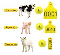 China JCET003 17x51mm TPU Yellow Sheep Ear Tag with RFID Option for Livestock Identification for sale