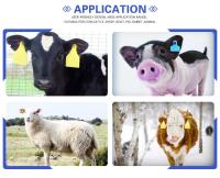 China JCET004 Livestock Ear Tag Numbered Sheep Cattle Pig Ear Tag 5 Colors TPU RFID for sale