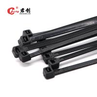 China High Security Cable Tie 3.6x250mm Tamper Evident Plastic Seal for Industrial Use for sale