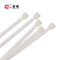 China High Security Cable Tie 2.5x200mm Tamper Evident Plastic Seal for Industrial Use for sale