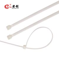China High Security Cable Tie 2.5x200mm Tamper Evident Plastic Seal for Industrial Use for sale