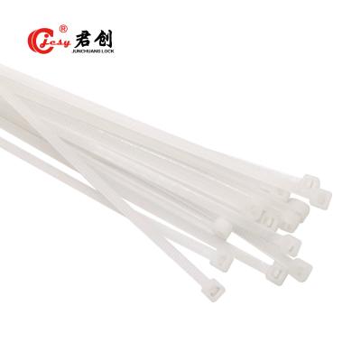 China High Security Cable Tie 2.5x100 mm Tamper Evident Plastic Seal for Industrial Use for sale