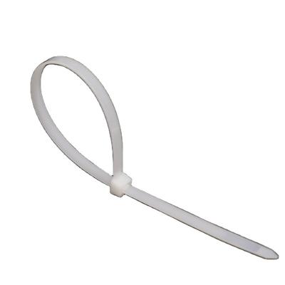 China Self-Locking PA6 Nylon Cable Tie 100pcs per Bag Reusable Wire Organizer for sale