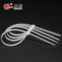 China Self-Locking PA6 Nylon Cable Tie 100pcs per Bag Reusable Wire Organizer for sale