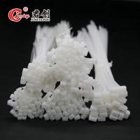 China Self-Locking PA6 Nylon Cable Tie 100pcs per Bag Reusable Wire Organizer for sale