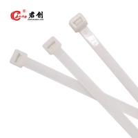 China Transparent Tamper Proof Releasable Cable Tie 200mm for Machine Security Seal for sale