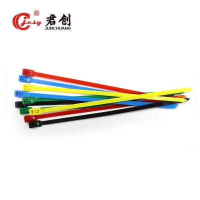 China Reusable Nylon Cable Ties Self Locking Zip Ties 100pcs per Bag Custom Colors for sale