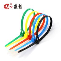 China Reusable Multi Color Nylon Cable Ties Self-Locking 100pcs per Bag Automotive Pipe Clip for sale