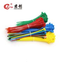 China Reusable Multi Color Nylon Cable Ties Self-Locking 100pcs per Bag Automotive Pipe Clip for sale
