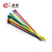 China Reusable Multi Color Nylon Cable Ties Self-Locking 100pcs per Bag Automotive Pipe Clip for sale