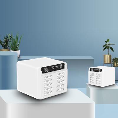 China Indoor rental power bank&Power station for sale