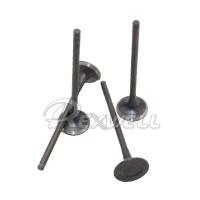 China 22212-25002 Engine Demagnetization Material for HYUNDAI Sonata G4KD 2.0 Exhaust Valves for sale