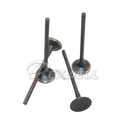 China 22212-25002 Engine Demagnetization Material for HYUNDAI Sonata G4KD 2.0 Exhaust Valves for sale