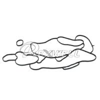 China LR002340 Oil Cooler Filter Gasket for Range Rover Sport 2005-2009 Product by Rexwell for sale