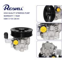 China 57100-2E300 57100-2E200 57100-2F200 Car Power Steering Oil Pump for Hyundai Tucson 2006-2009 for sale