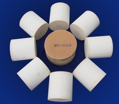 China Compressed Natural Gas CNG Natural Gas Catalyst For Natural Gas Euro4 5 6 for sale