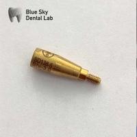 China Blue Sky Implant Direct Scan Body Vacuum 3D Gold Plating Biohorizon Scan Body for sale