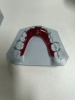 China Sterilization Steam Sterilization Implantation Cases for Removable Prosthesis in and Sterilization for sale