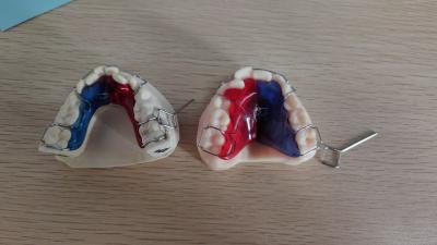 China High Durability Dental Implant Case Artificial Implantation Cases for Dental Professionals for sale