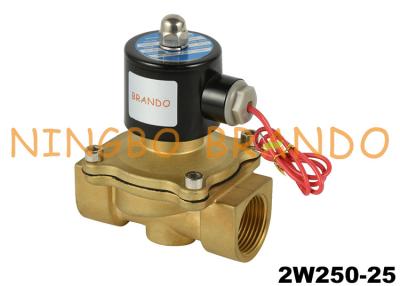 China 2/2 Way 2W250-25 Brass Solenoid Water Valve 24 Volt 110 Volt 220Volt for sale