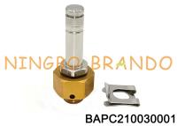 China Armature Plunger P10 For AUTEL Pulse Jet Solenoid Valve Spare Part for sale