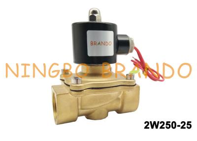 China 2W250-25 Brass Body G1