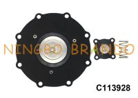 China C113928 3