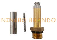 China LPG CNG Reducer Solenoid Valve Maintenance Kit Armature Assembly for sale