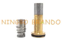 China Brass Plunger Tube NBR Seal LPG CNG Solenoid Valve Armature Assembly for sale