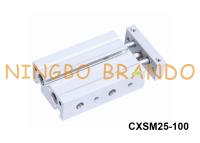 China SMC Type CXSM25-100 Double Rod Air Cylinder Pneumatic 25mm Bore for sale