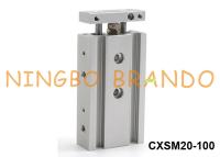 China SMC Type CXSM20-100 Dual Rod Pneumatic Air Cylinder 100mm Stroke for sale