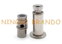 China RO SV Water Purifier Solenoid Valve Spare Part Magnetic Stem Plunger for sale