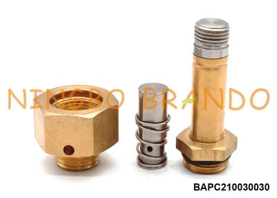 China P10 Solenoid Pilot Armature Plunger Assembly For AUTEL Pulse Jet Valve for sale